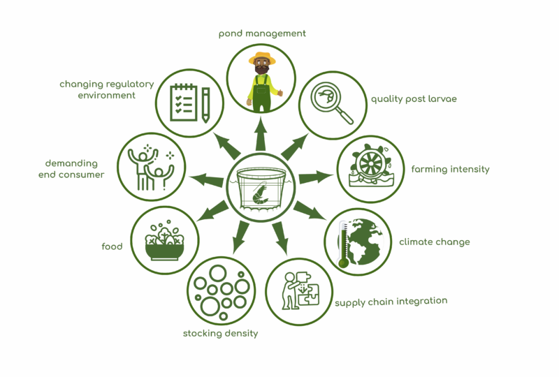 Challenges in Shrimp Farming - Lenk